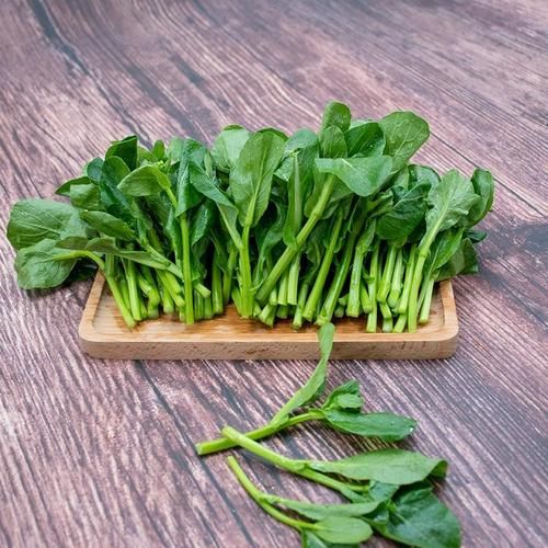 菜心苗和菜心的区别_哪个更好吃-第1张图片-山城妙识