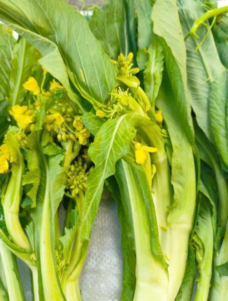 菜心苗和菜心的区别_哪个更好吃-第3张图片-山城妙识