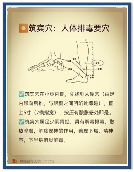 女人排毒最快最好的方法_如何快速排毒养颜-第1张图片-山城妙识