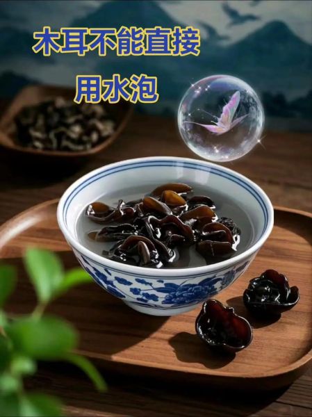 木耳泡多久不能吃_煮熟可以吗-第3张图片-山城妙识