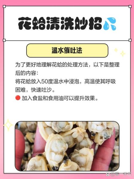 蛤蜊怎么保存_蛤蜊怎么清洗-第1张图片-山城妙识