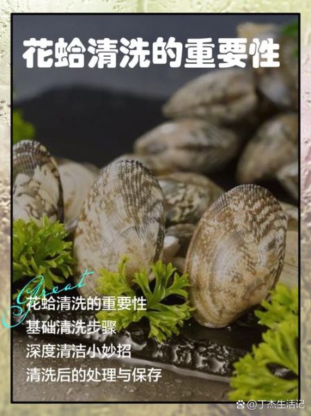 蛤蜊怎么保存_蛤蜊怎么清洗-第2张图片-山城妙识
