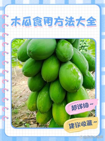 木瓜怎么吃最好_木瓜最佳吃法大全-第1张图片-山城妙识