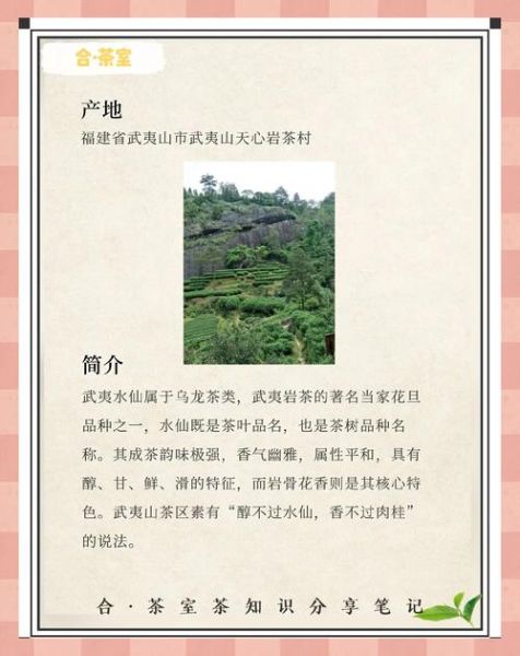 水仙茶多少钱一斤_正宗武夷水仙价格表-第1张图片-山城妙识