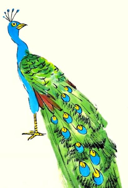 孔雀开屏怎么画_孔雀开屏绘画步骤-第2张图片-山城妙识