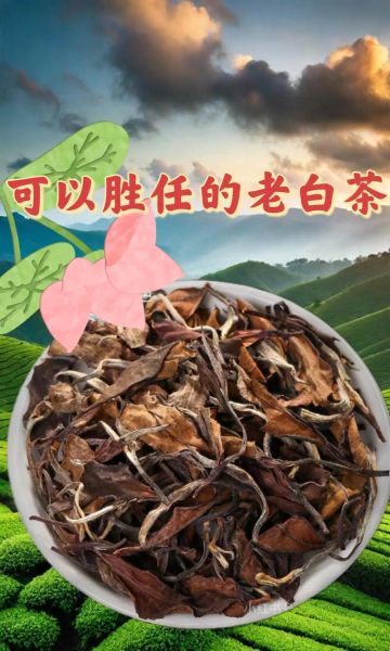 老白茶致癌是肯定的_老白茶致癌真相-第1张图片-山城妙识