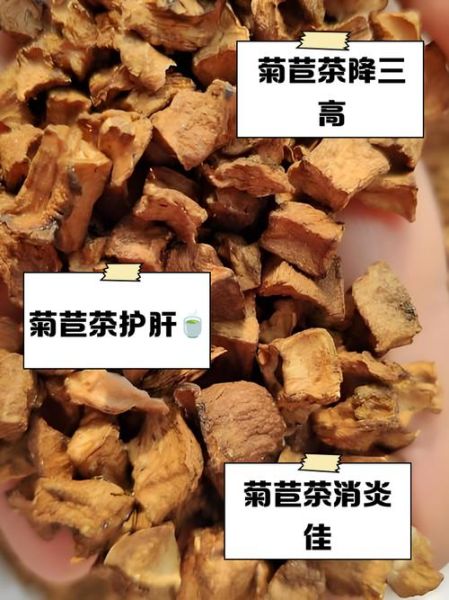 菊苣图片功效和作用_菊苣茶能天天喝吗-第3张图片-山城妙识
