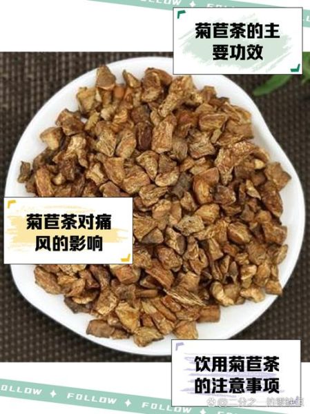 菊苣图片功效和作用_菊苣茶能天天喝吗-第2张图片-山城妙识