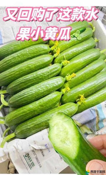 草莓香蕉樱桃黄瓜丝瓜榴莲大全_哪些水果不能一起吃-第2张图片-山城妙识