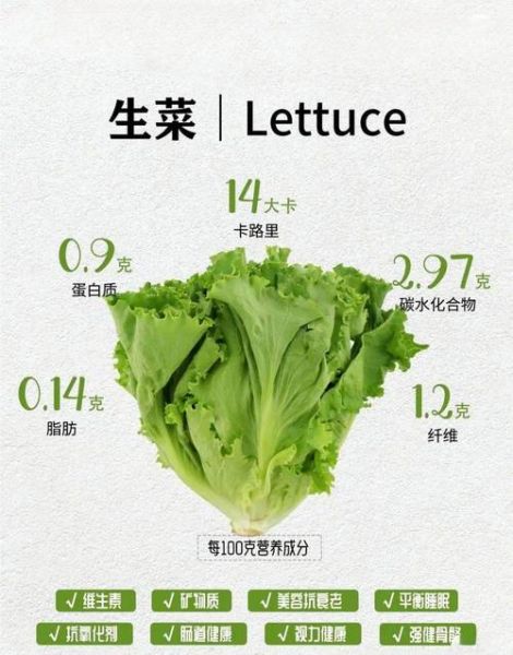 生菜的营养价值及功效与作用_生菜可以减肥吗-第2张图片-山城妙识
