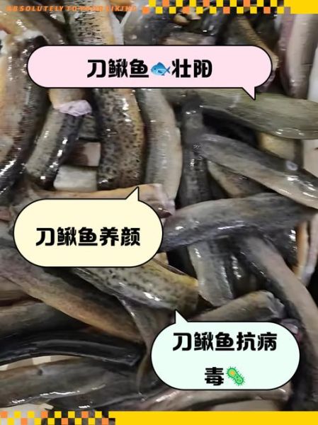 刀鳅鱼多少钱一斤_刀鳅鱼怎么做好吃-第2张图片-山城妙识