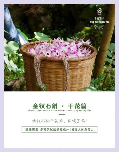 金钗石斛的功效与作用_金钗石斛怎么吃最好-第1张图片-山城妙识