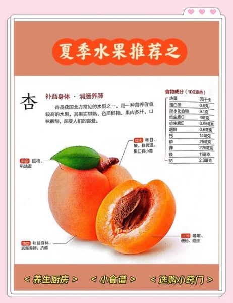 杏子的功效与作用是什么_吃杏子有什么好处-第3张图片-山城妙识