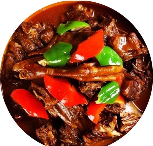 红烧老鹅怎么做好吃_正宗红烧老鹅的做法-第3张图片-山城妙识