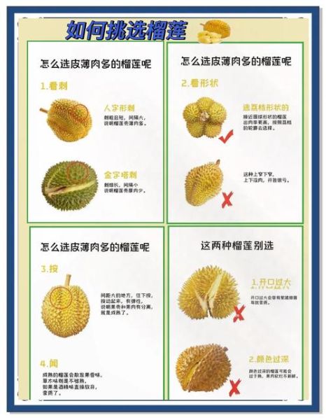 榴莲怎么做好吃_榴莲怎么挑选才甜-第1张图片-山城妙识