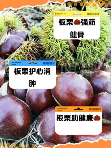 多吃板栗有什么好处_板栗的营养价值与功效-第3张图片-山城妙识