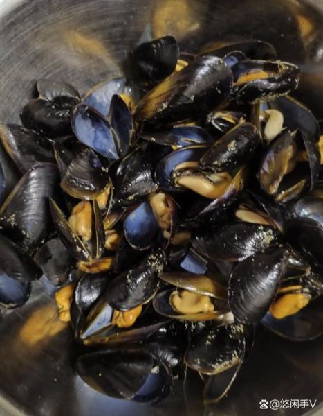 为什么禁止食用海虹_海虹中毒症状有哪些-第1张图片-山城妙识 为什么禁止食用海虹_海虹中毒症状有哪些-第1张图片-山城妙识