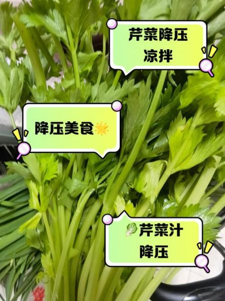 芹菜怎么吃降血压最好_芹菜降血压的正确吃法-第2张图片-山城妙识