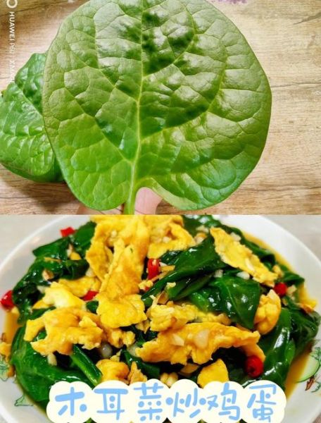 木耳菜怎么炒好吃_木耳菜的家常做法-第2张图片-山城妙识