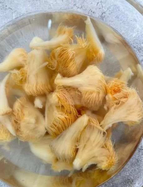 猴头菇怎么泡发_猴头菇怎么炒好吃-第1张图片-山城妙识