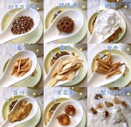 通草能直接煮水喝吗_通草煮水正确方法-第1张图片-山城妙识