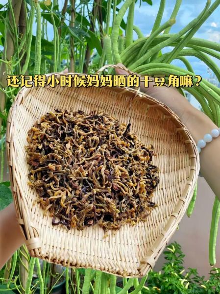 干豆角怎么泡发_干豆角图片大全-第3张图片-山城妙识