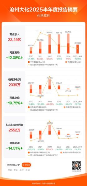 沧州大化是做什么的_沧州大化股票值得买吗-第2张图片-山城妙识
