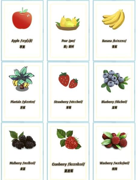 菠萝英文怎么读_pineapple发音技巧-第1张图片-山城妙识