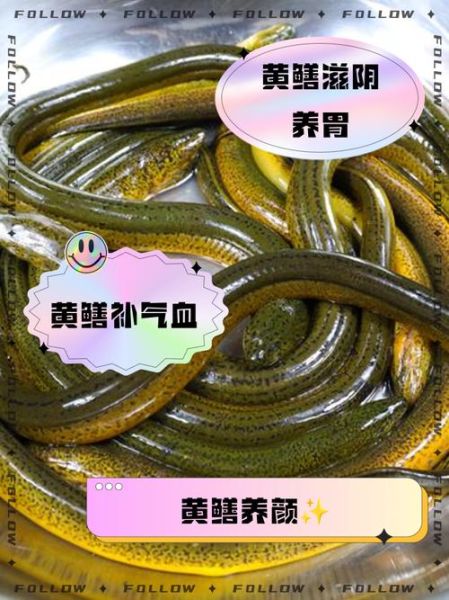 女人吃黄鳝有什么好处_女人吃黄鳝会不会发胖-第1张图片-山城妙识