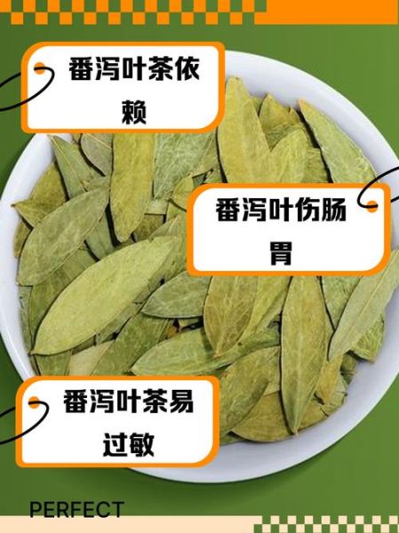 喝番泻叶40年_长期喝番泻叶的危害-第2张图片-山城妙识