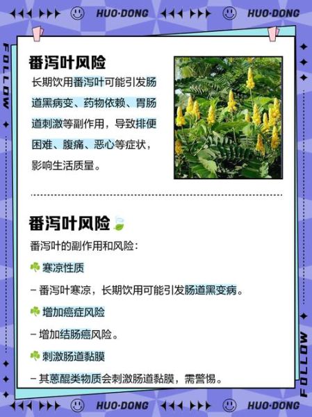 喝番泻叶40年_长期喝番泻叶的危害-第1张图片-山城妙识