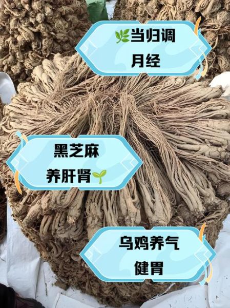 男人补气血吃什么_男人气血不足吃什么调理-第3张图片-山城妙识