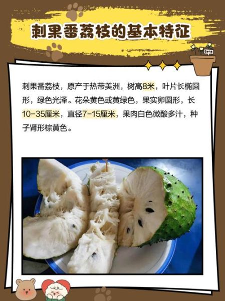 刺果番荔枝多少钱一斤_刺果番荔枝价格行情-第1张图片-山城妙识