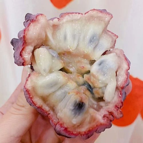 刺果番荔枝多少钱一斤_刺果番荔枝价格行情-第3张图片-山城妙识