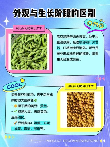 毛豆怎么变成黄豆_毛豆和黄豆的区别-第2张图片-山城妙识