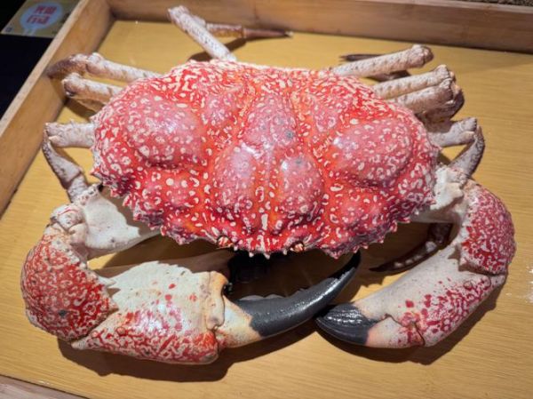 皇帝蟹和帝王蟹的区别_多少钱一斤-第2张图片-山城妙识