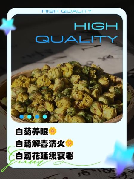 白菊花泡水喝的功效与禁忌_哪些人不能喝-第1张图片-山城妙识