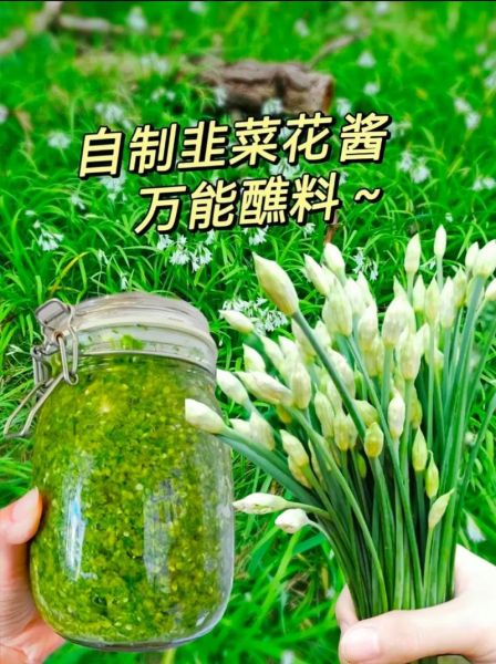 韭菜花酱怎么保存_自制韭菜花酱的做法-第1张图片-山城妙识