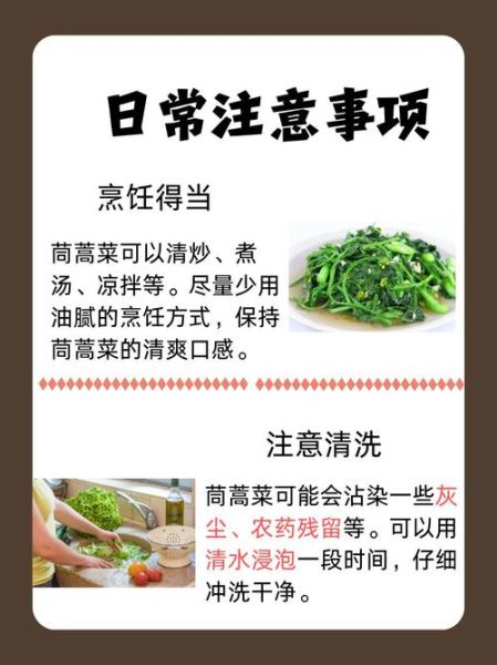 茼蒿的功效与作用_茼蒿怎么吃最营养-第1张图片-山城妙识 茼蒿的功效与作用_茼蒿怎么吃最营养-第1张图片-山城妙识