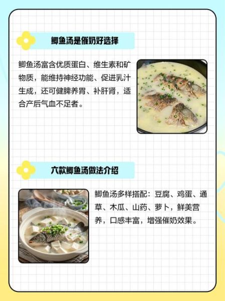 产妇鲫鱼汤炖多长时间_产后多久可以喝鲫鱼汤-第3张图片-山城妙识 产妇鲫鱼汤炖多长时间_产后多久可以喝鲫鱼汤-第3张图片-山城妙识