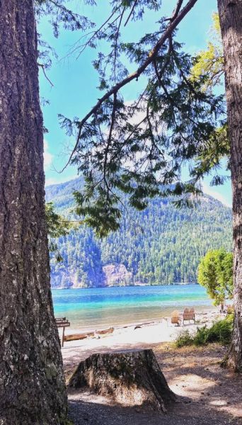 华盛顿州旅游最佳时间_华盛顿州必去景点推荐-第3张图片-山城妙识