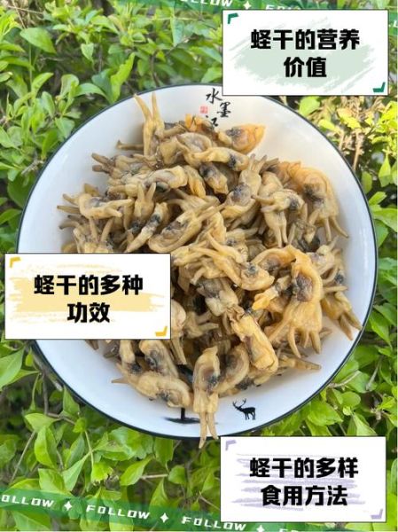 蛏子干炖汤怎么做_蛏子干炖汤要泡多久-第1张图片-山城妙识