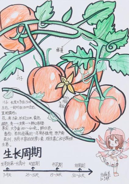 番茄的马甲作品集有哪些_如何快速找到全部作品-第2张图片-山城妙识