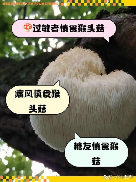 什么人不能吃猴头菇_猴头菇禁忌人群-第1张图片-山城妙识