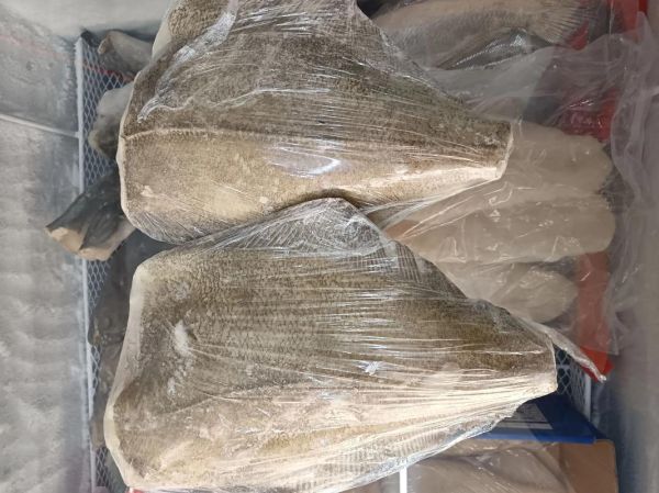 鲽鱼是比目鱼吗_鲽鱼与比目鱼的区别-第3张图片-山城妙识