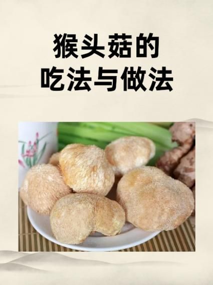 什么人不能吃猴头菇_猴头菇禁忌人群-第3张图片-山城妙识