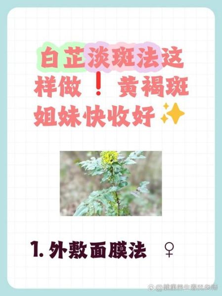 白芷祛斑怎么用_白芷祛斑具体方法-第1张图片-山城妙识