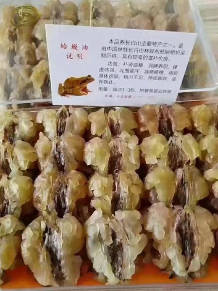 雪蛤是什么东西_雪蛤是林蛙哪个部位-第1张图片-山城妙识
