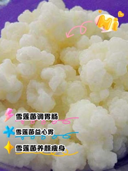雪莲菌致癌是真的吗_长期饮用风险-第1张图片-山城妙识 雪莲菌致癌是真的吗_长期饮用风险-第1张图片-山城妙识