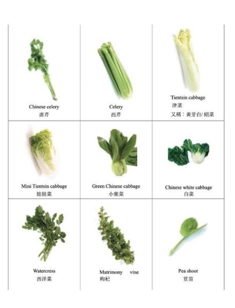 叶菜类蔬菜有哪些_叶菜类蔬菜图片及名称-第2张图片-山城妙识 叶菜类蔬菜有哪些_叶菜类蔬菜图片及名称-第2张图片-山城妙识